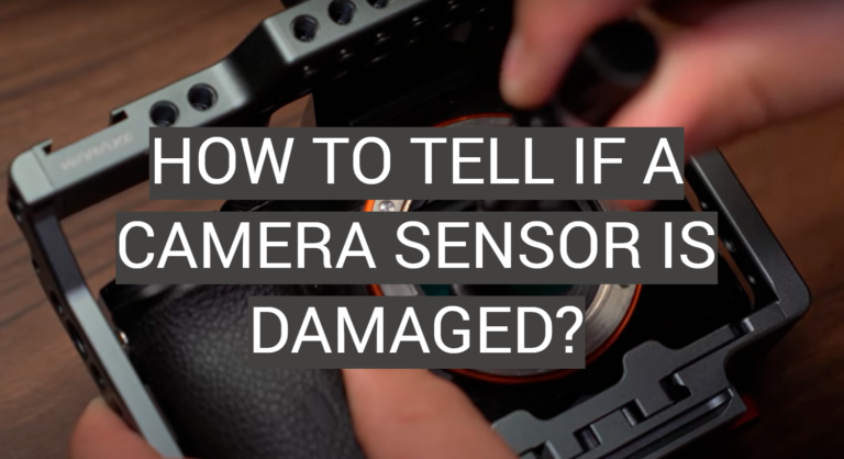 How to Tell if a Camera Sensor is Damaged? - FotoProfy