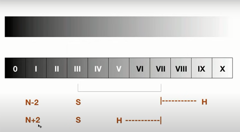What is Value in Photography? Easy Explanation! - FotoProfy