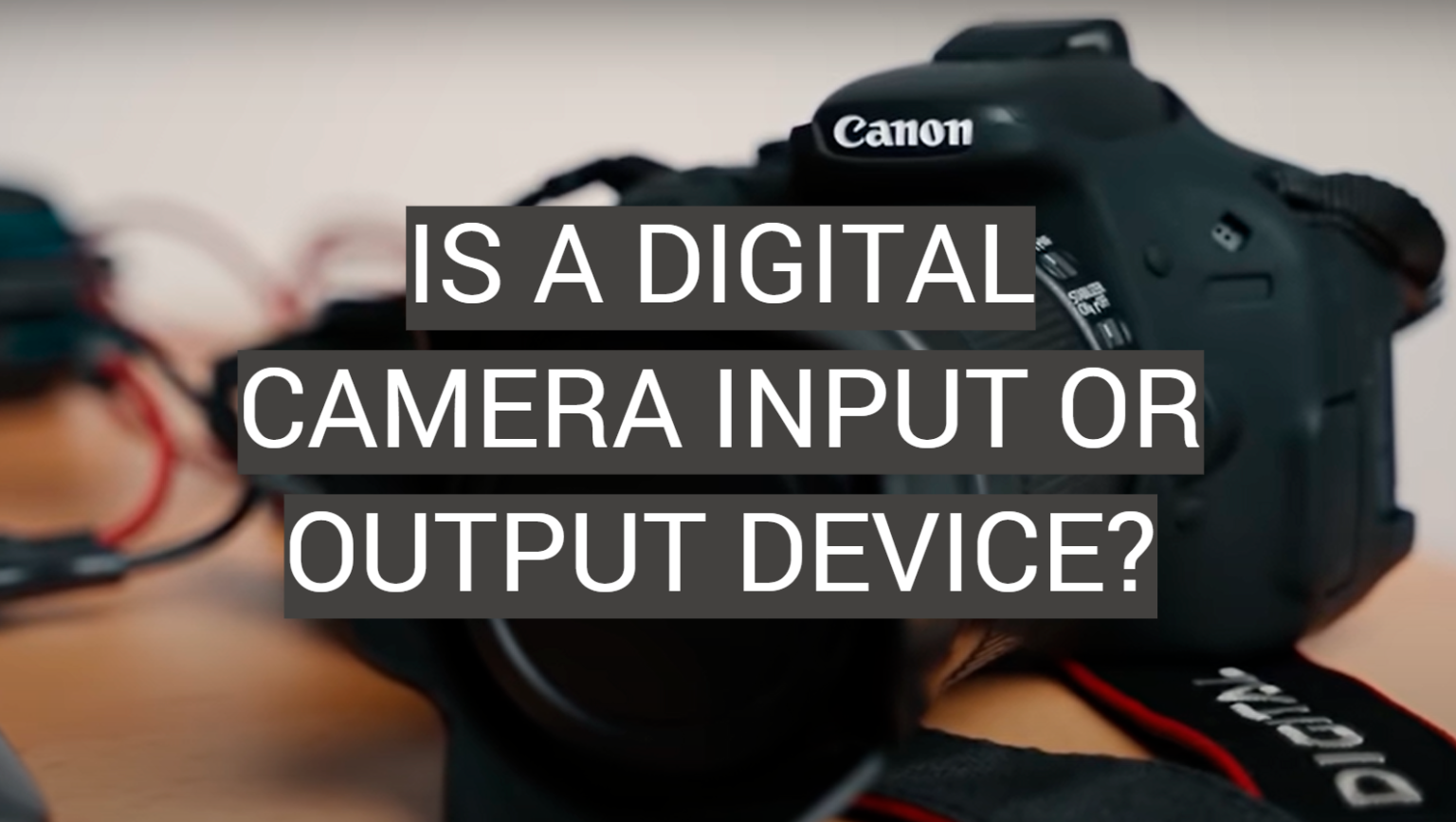 Is a Digital Camera Input or Output Device? - FotoProfy
