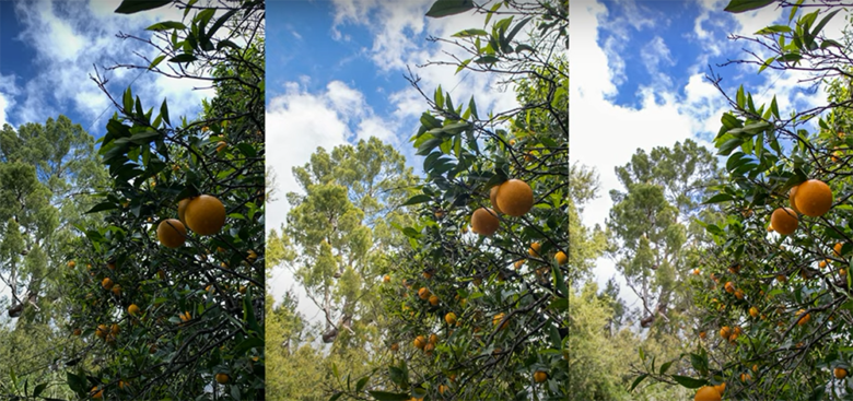 Is a Digital Camera Input or Output Device? - FotoProfy