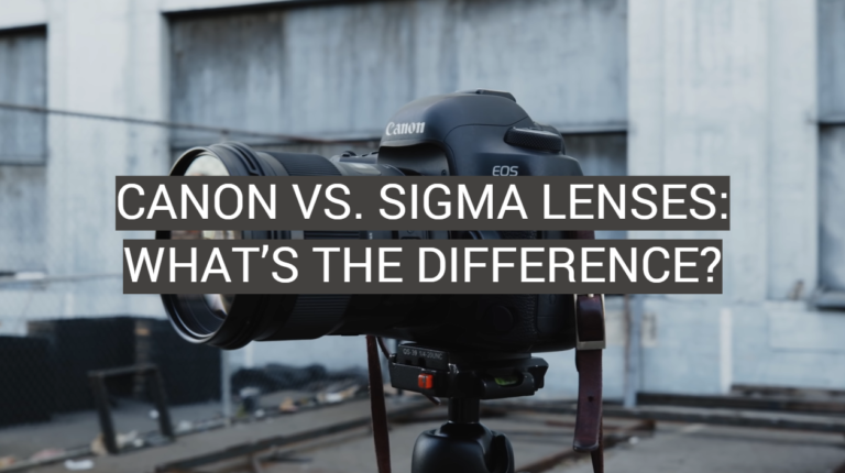 AF vs. MF on Canon Lens: What’s the Difference? - FotoProfy