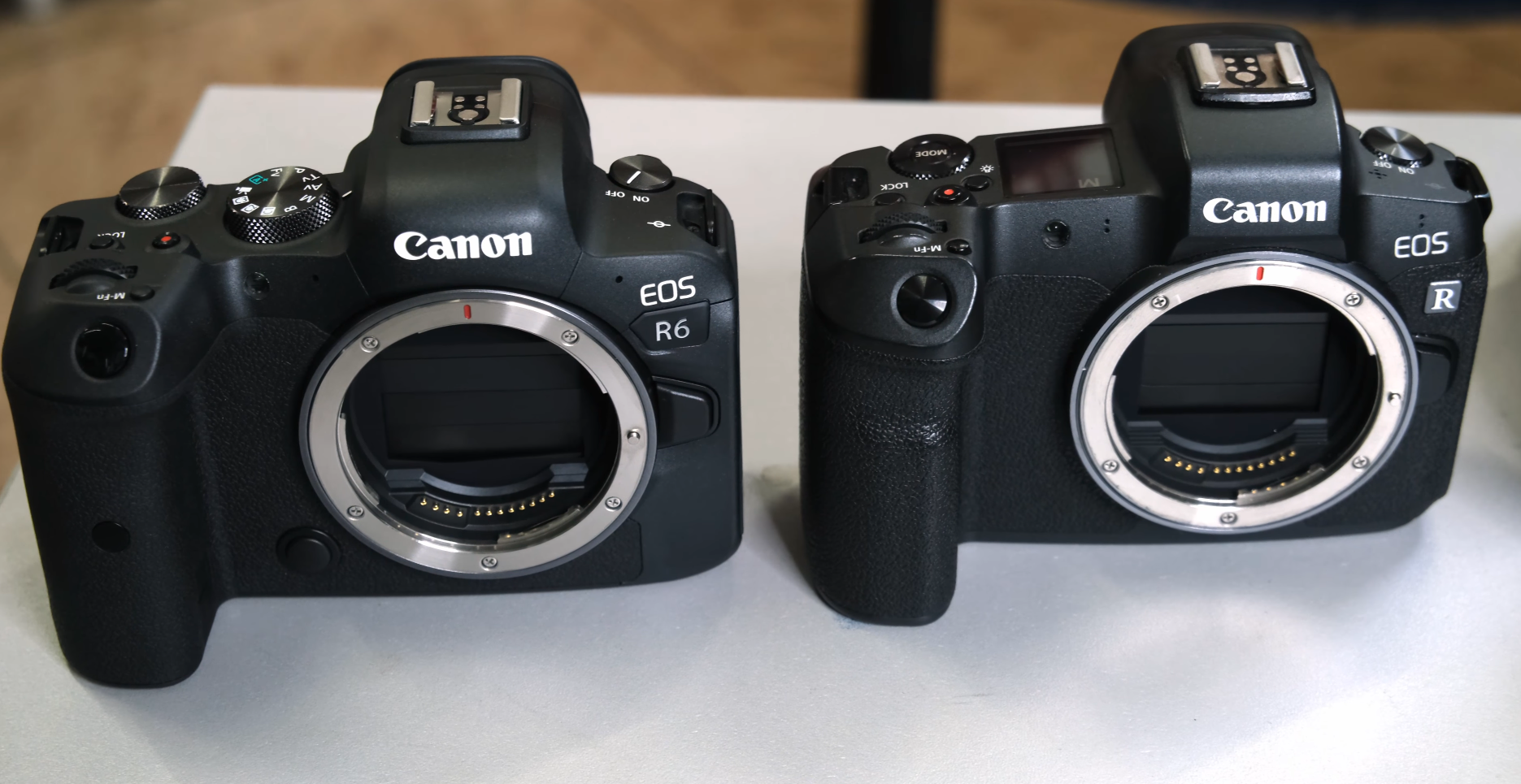 Canon EOS R vs. R6: What’s the Difference? - FotoProfy
