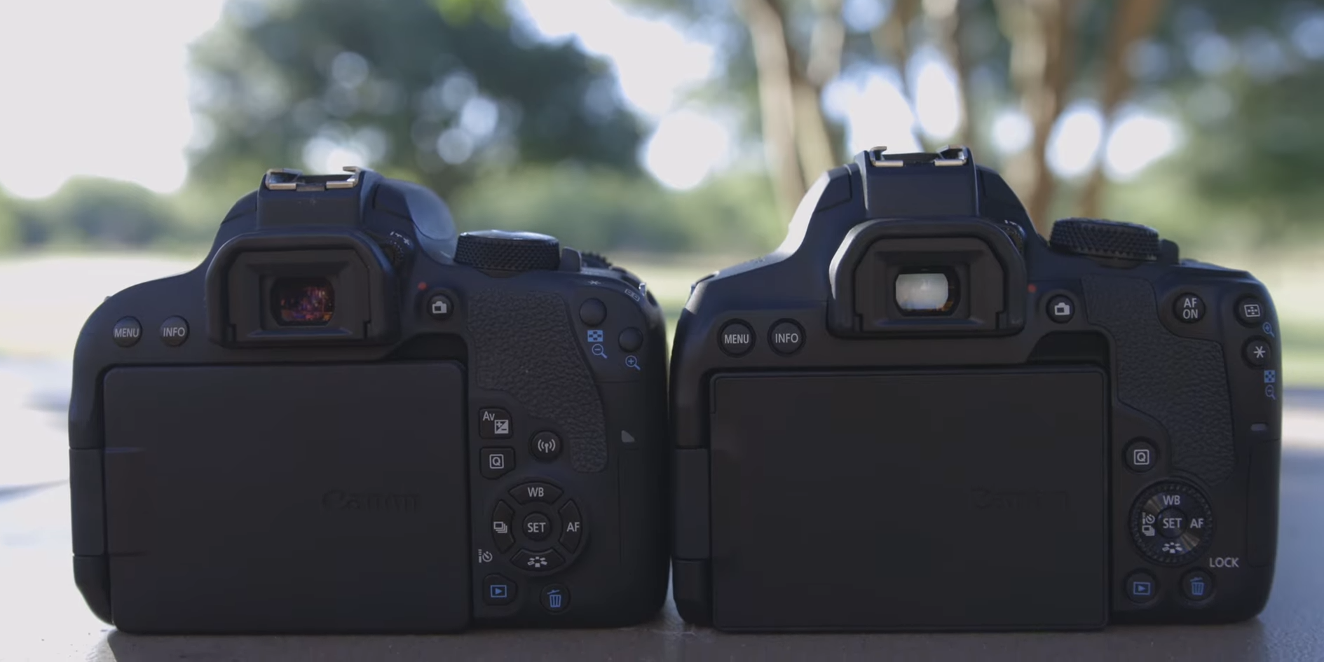 Canon EOS Rebel T7i vs. T8i: Which is Better? - FotoProfy