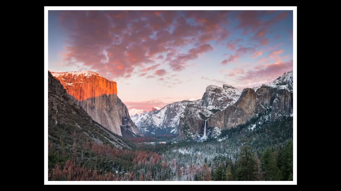 Good Photo vs. Bad Photo: How to Determine? - FotoProfy