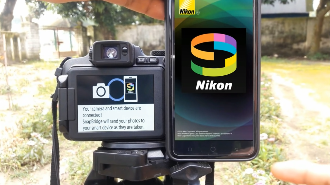 Nikon D3400 Snapbridge Not Working: What to Do? - FotoProfy