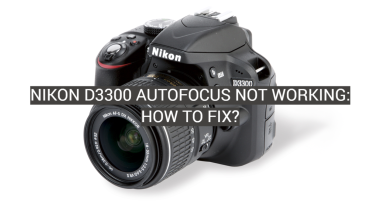Nikon D3300 Autofocus Not Working: How to Fix? - FotoProfy