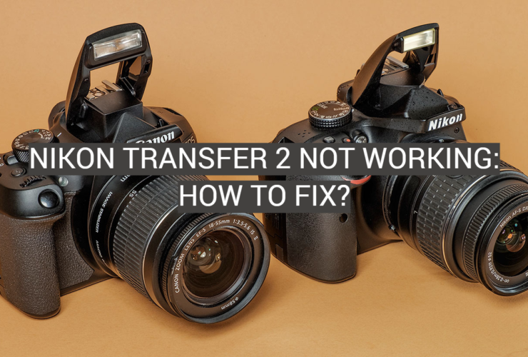 Nikon D750 Not Sharp: How to Fix? - FotoProfy