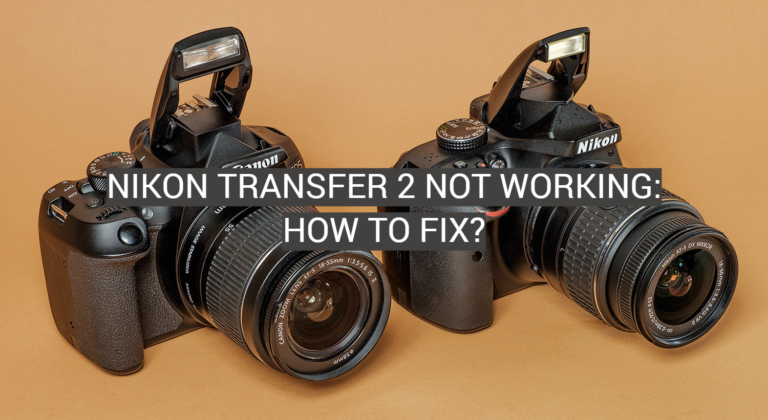 Nikon Transfer 2 Not Working: How to Fix? - FotoProfy