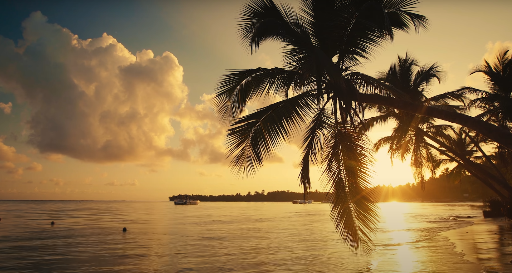 What to Wear for Photos on the Beach at Sunset? - FotoProfy