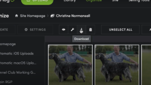 How to Download SmugMug Photos? - FotoProfy