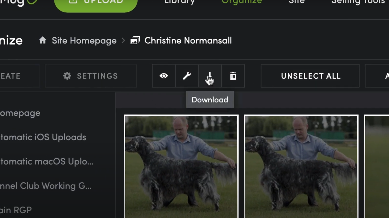 How to Download SmugMug Photos? - FotoProfy
