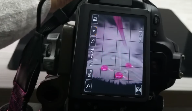 Pink Photoshoot Ideas - FotoProfy