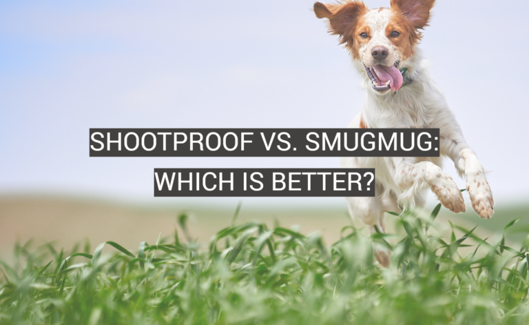 How to Download SmugMug Photos? - FotoProfy