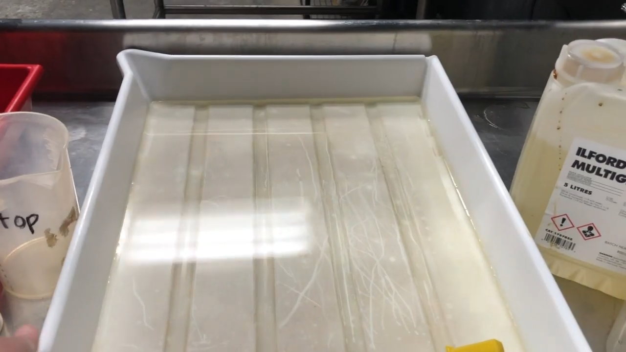 Darkroom Chemicals: Everything You Should Know - FotoProfy