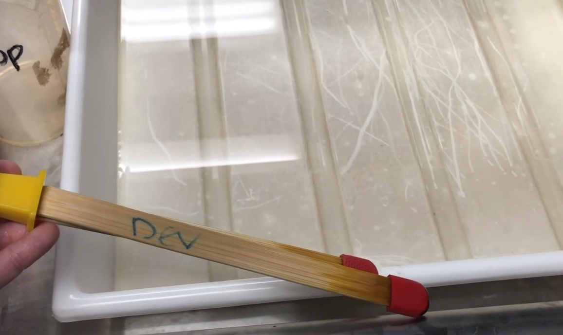 Darkroom Chemicals: Everything You Should Know - FotoProfy