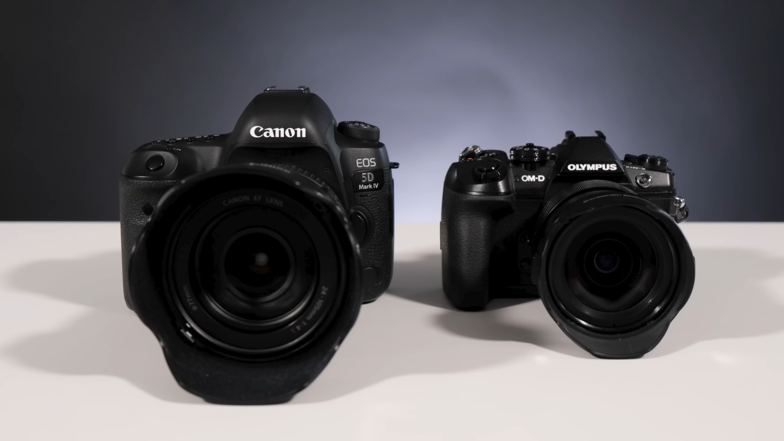 How Many Shutter Counts Is Too Much? - FotoProfy