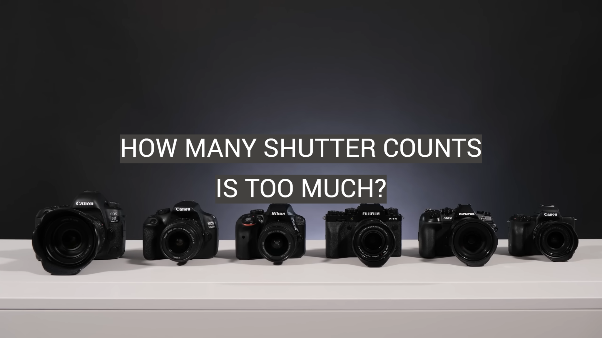 How Many Shutter Counts Is Too Much? - FotoProfy