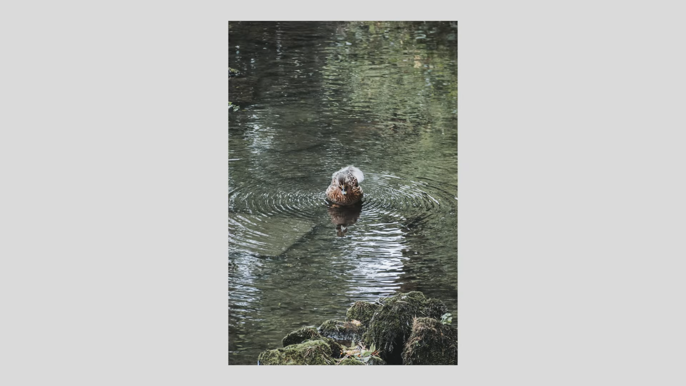 Is the Canon EOS 90D Full-Frame? - FotoProfy