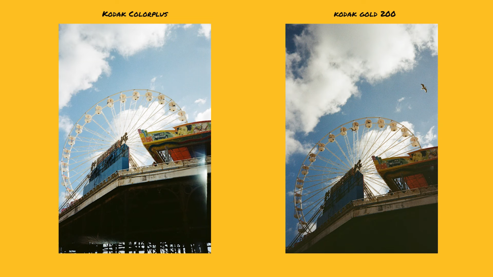 Kodak Gold vs. Colorplus: Which is Better? - FotoProfy