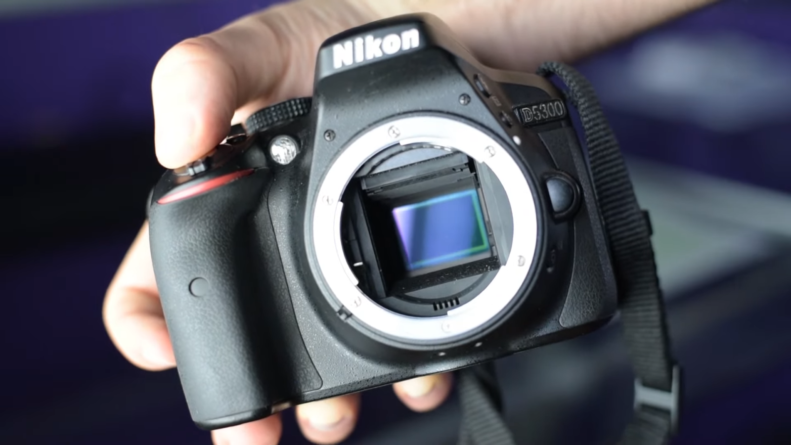 Nikon D3200 Not Autofocusing: How to Fix? - FotoProfy
