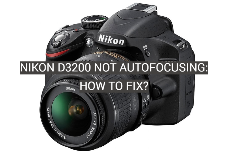 Nikon Transfer 2 Not Working: How to Fix? - FotoProfy
