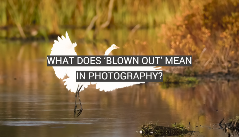 What Does ‘Blown Out’ Mean in Photography? - FotoProfy