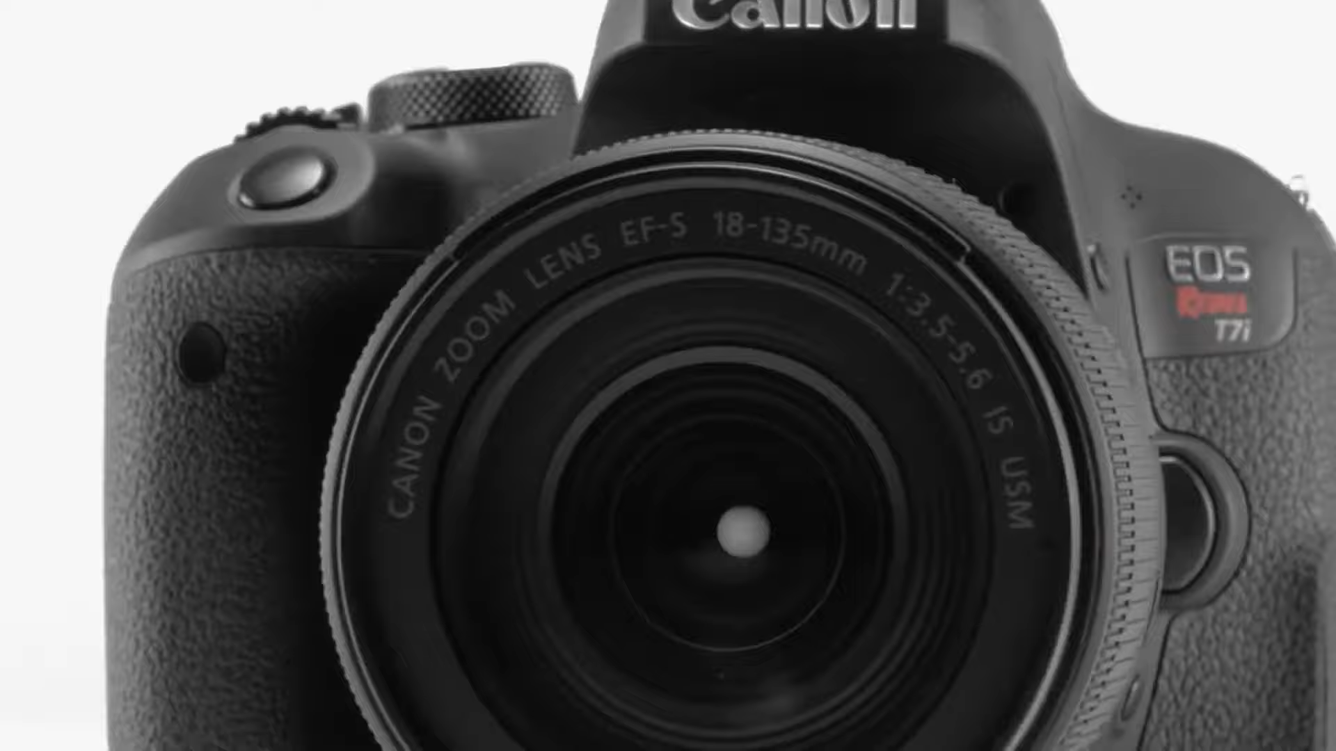 What Lenses Are Compatible With Canon Rebel T7? - FotoProfy