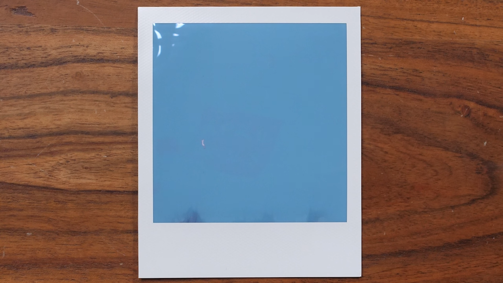 Why Are My Polaroids Coming Out White? - FotoProfy