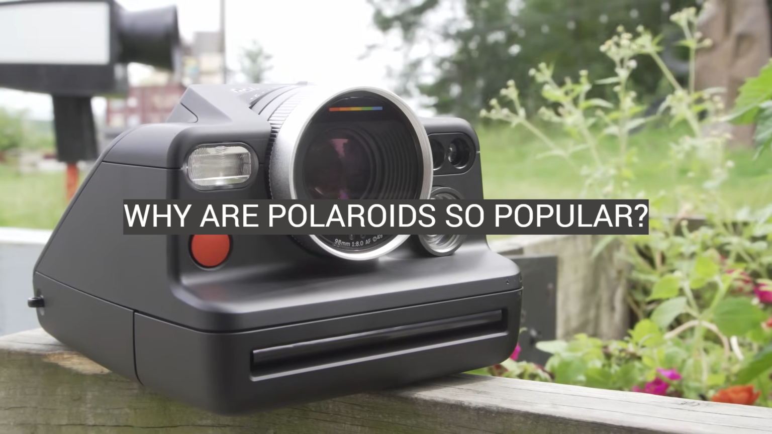 Why Are Polaroids So Popular? - FotoProfy