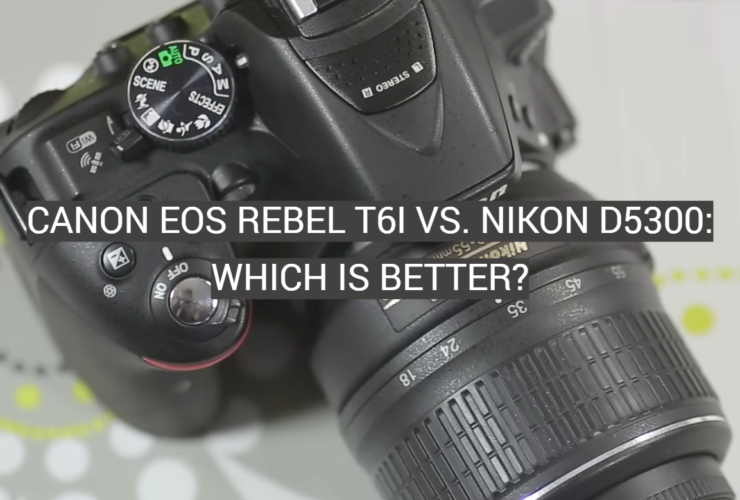 AF vs. MF on Canon Lens: What’s the Difference? - FotoProfy