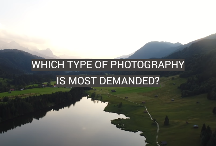 What is Value in Photography? Easy Explanation! - FotoProfy